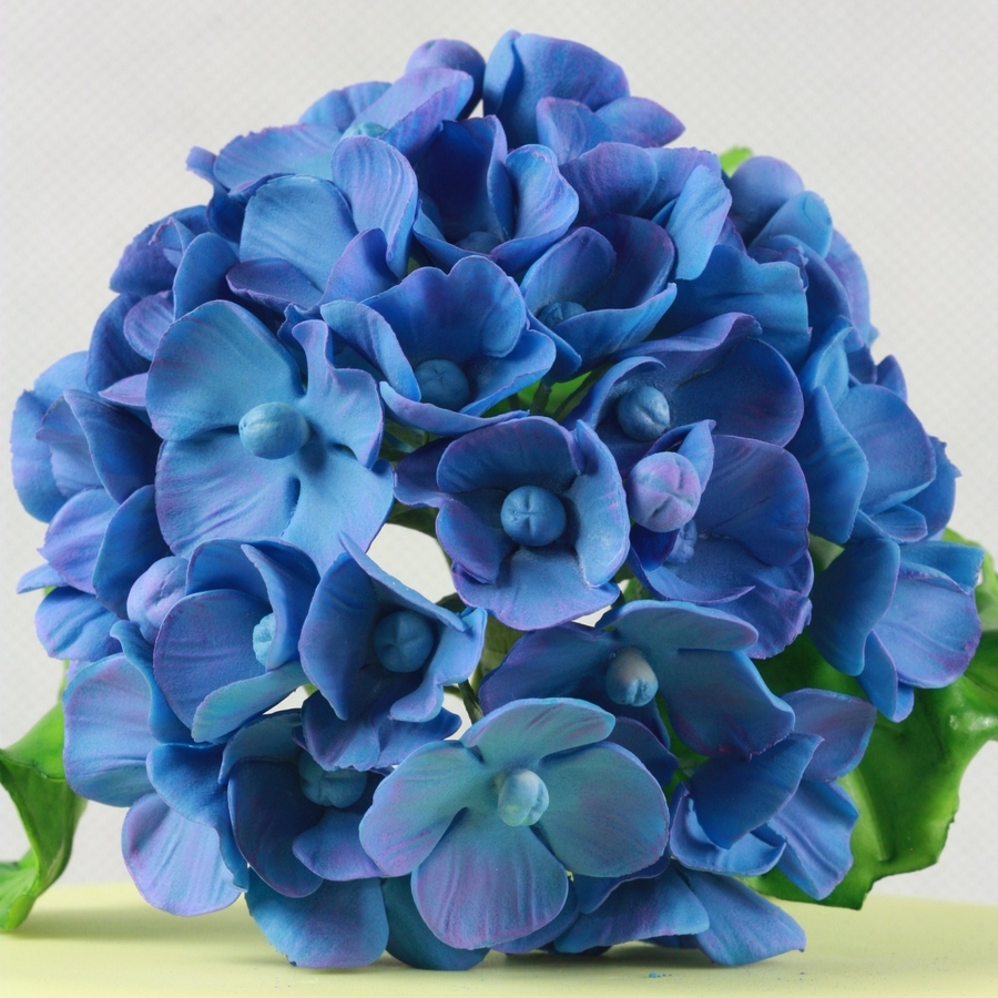 Blue Hydrangea - CakeCentral.com