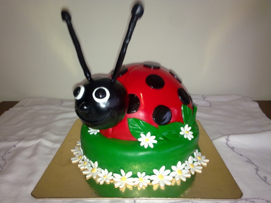 Lady Bug - CakeCentral.com