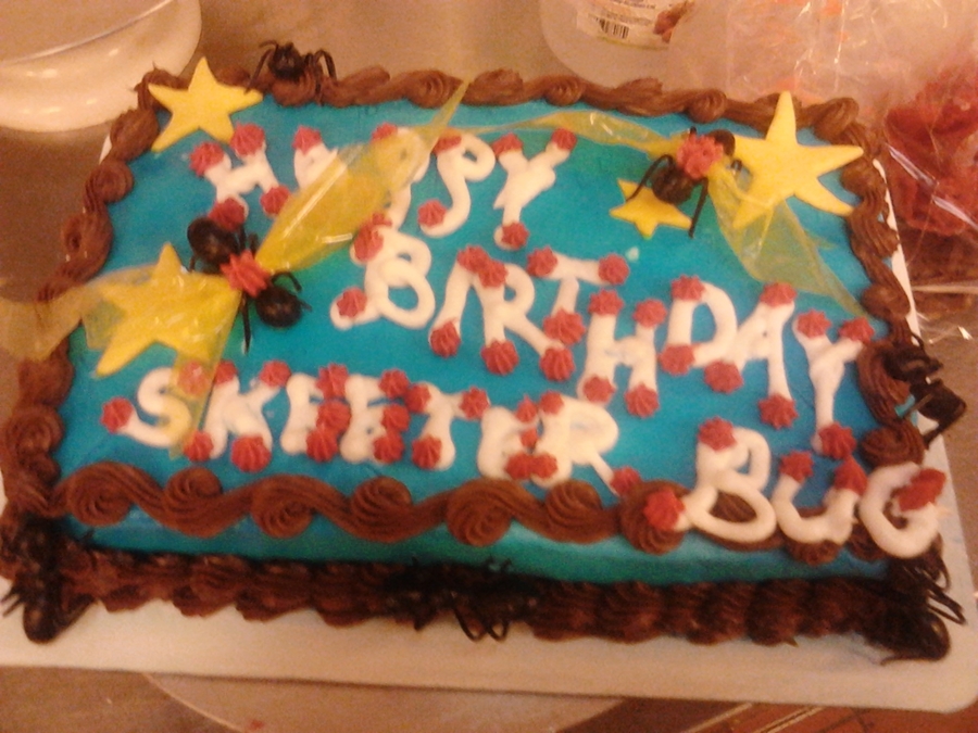 Skeeter Bugs Birthday - CakeCentral.com