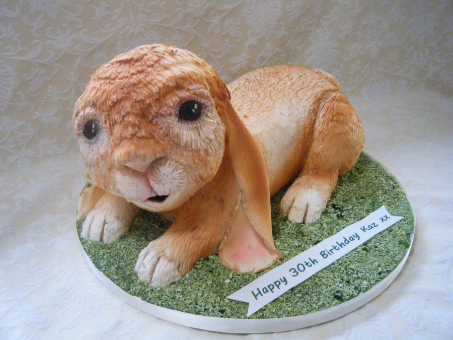 Lop Rabbit - CakeCentral.com