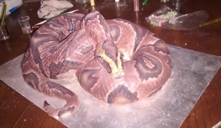 Finished Ball Python Cake - CakeCentral.com