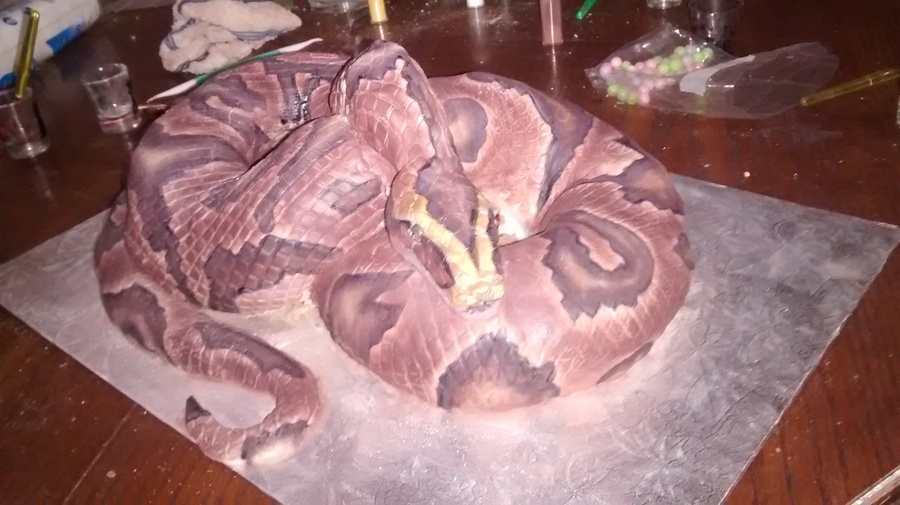 Finished Ball Python Cake - CakeCentral.com