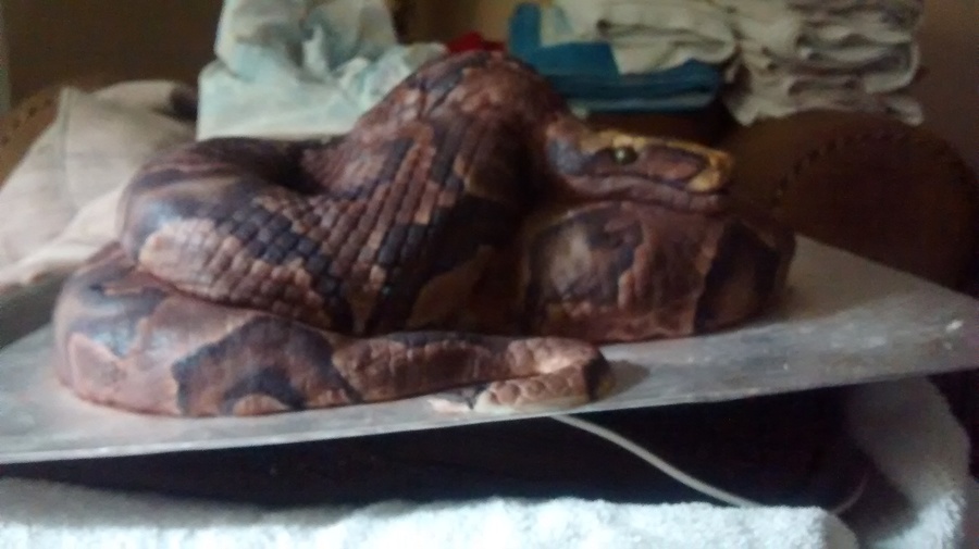 Finished Ball Python Cake - CakeCentral.com