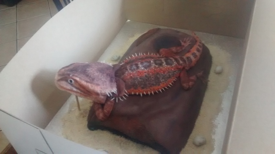 Bearded Dragon - CakeCentral.com