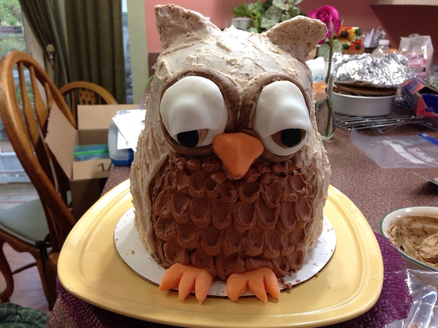 Wise Old Owl Cake - CakeCentral.com