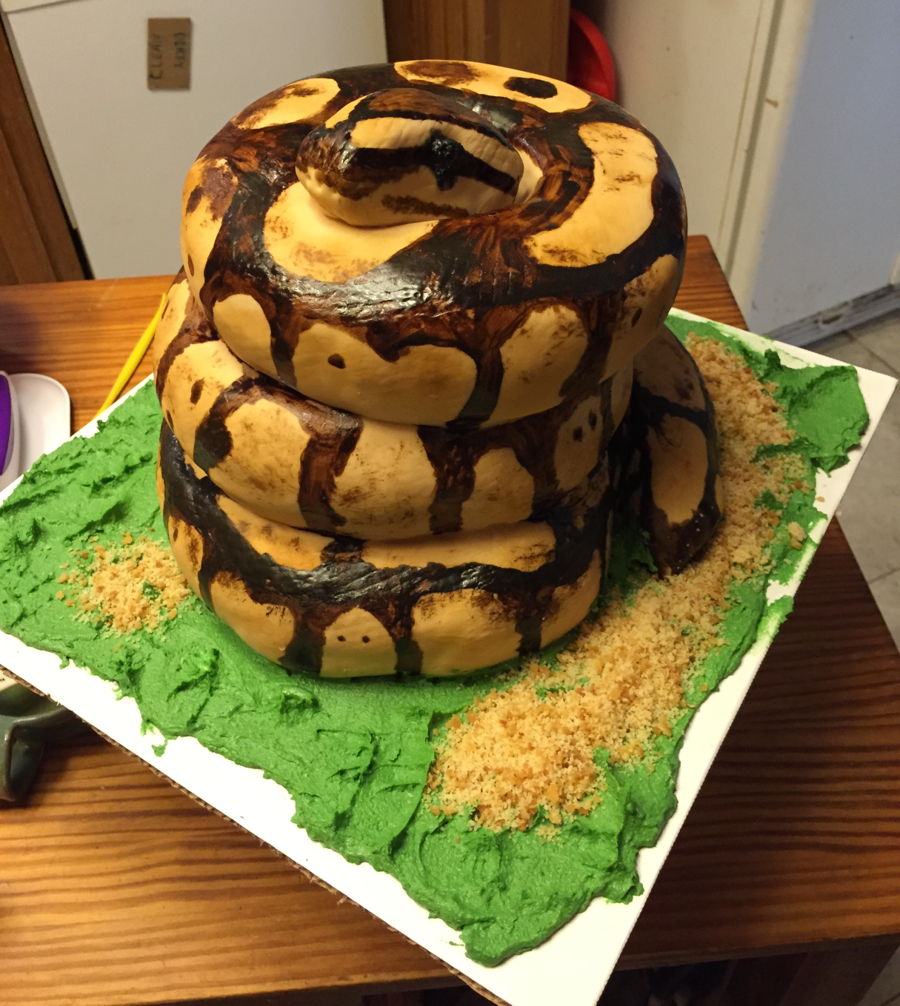 Ball Python Snake - CakeCentral.com