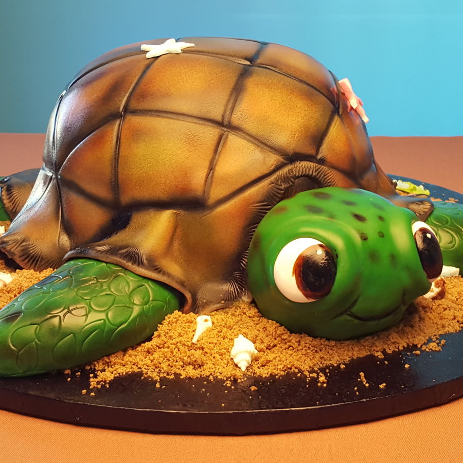 Turtle Birthday CakeCentral