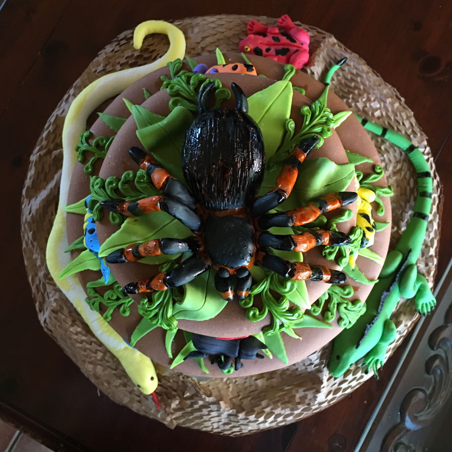 Reptile/rainforest Cake - CakeCentral.com