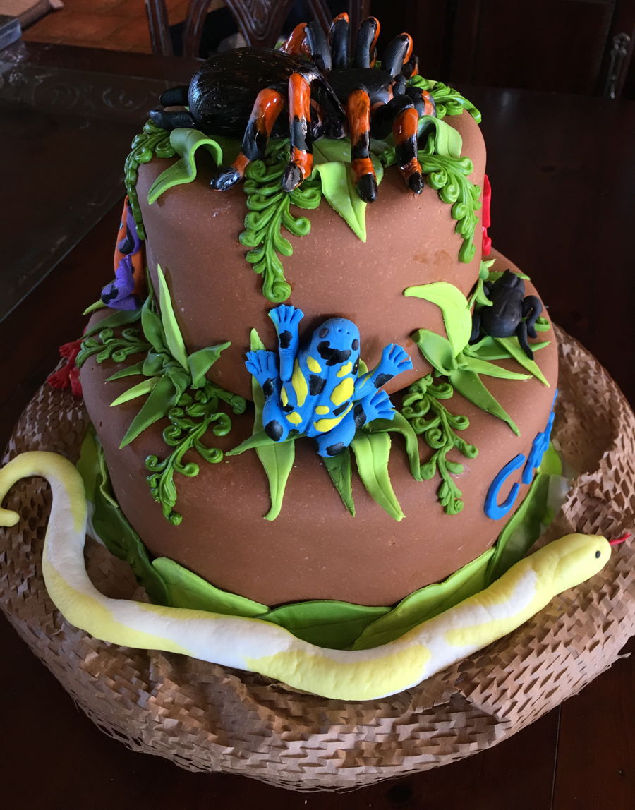 Reptile/rainforest Cake - CakeCentral.com