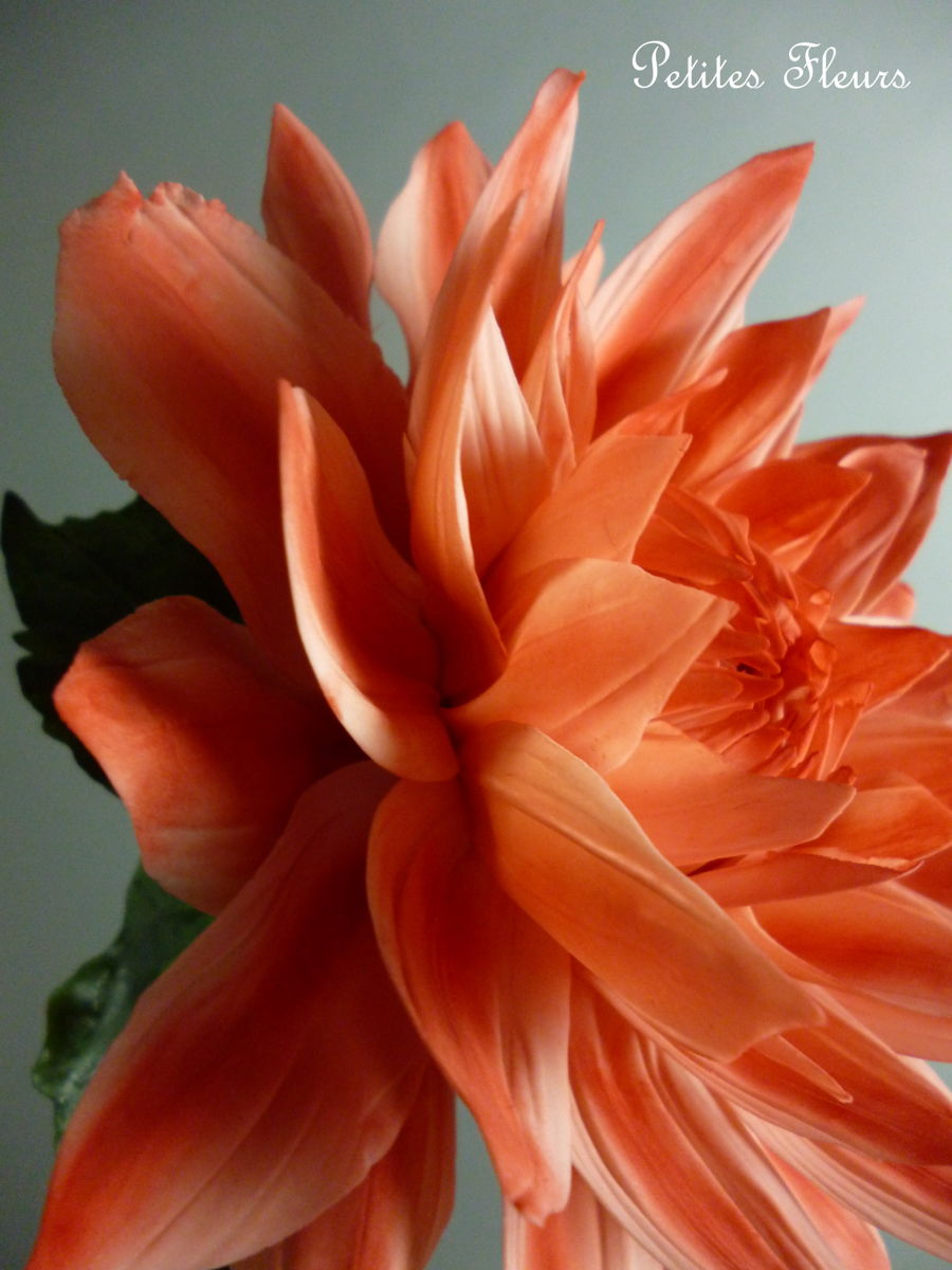 Gumpaste Dahlia CakeCentral gumpaste-dahlia-cakecentral
