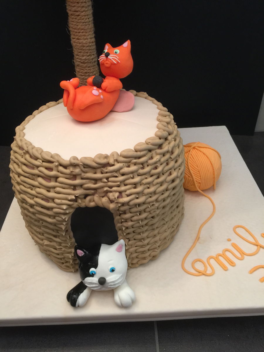 Playing Cats - CakeCentral.com