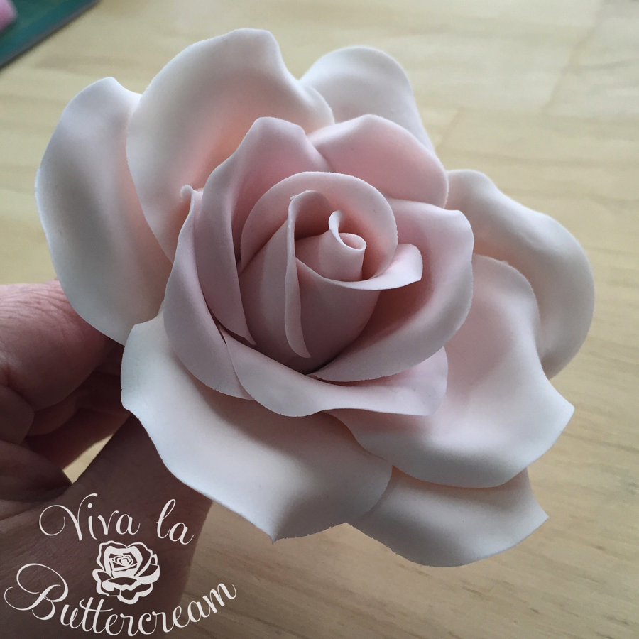 Baby Pink Sugar Rose - CakeCentral.com