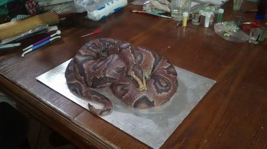 Snake Cake - CakeCentral.com