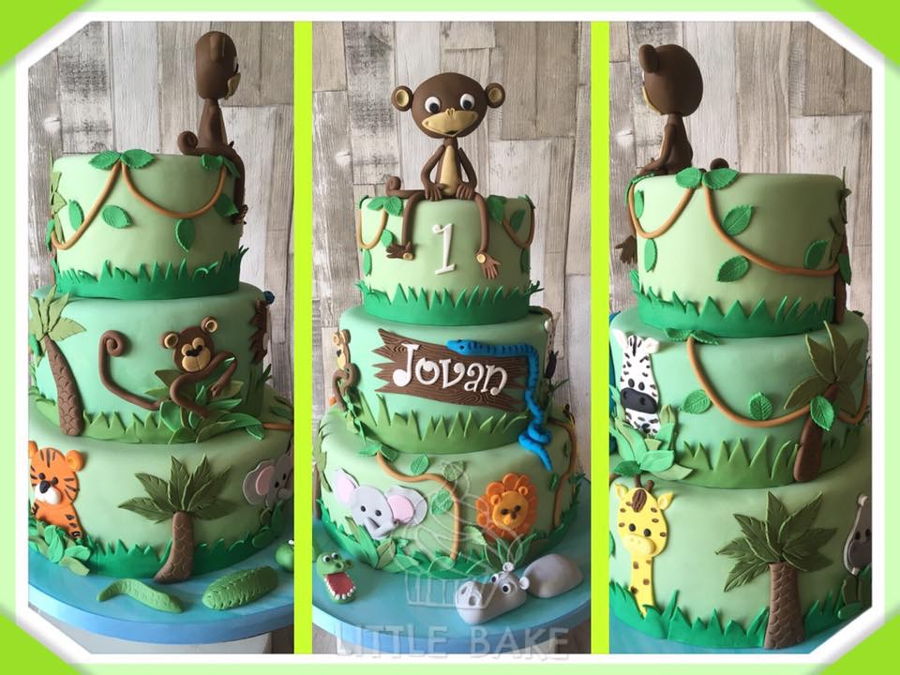 Jungle Theme Cake - CakeCentral.com