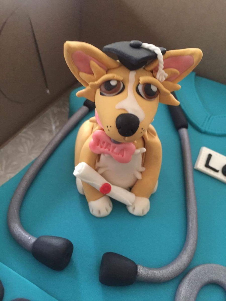 Veterinarian Cake - CakeCentral.com