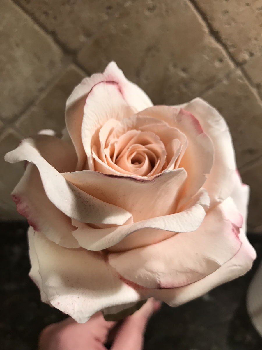 Gum Paste Rose - CakeCentral.com