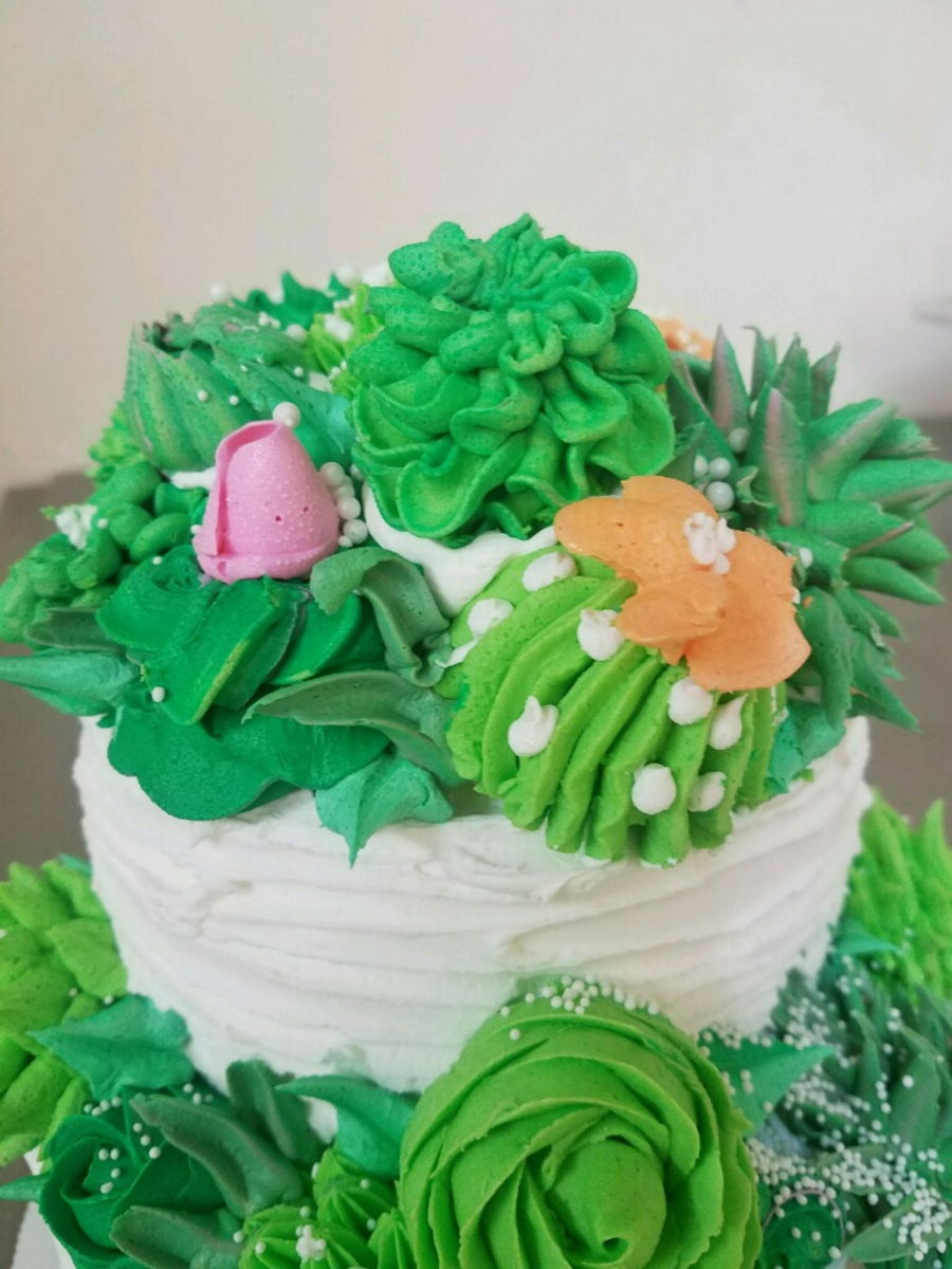Succulent Wedding Cake - CakeCentral.com
