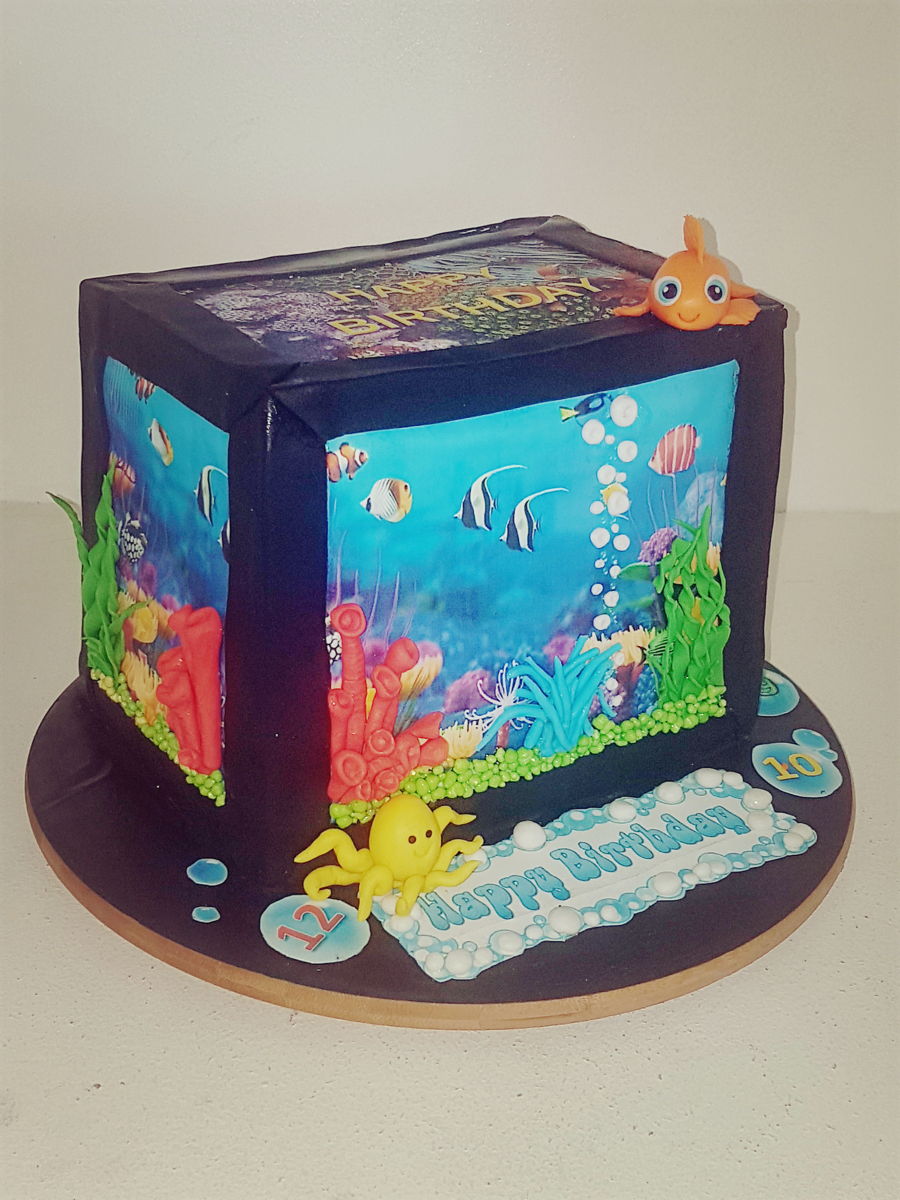 Fish Tank Cake Ideas at Benjamin Macbain blog