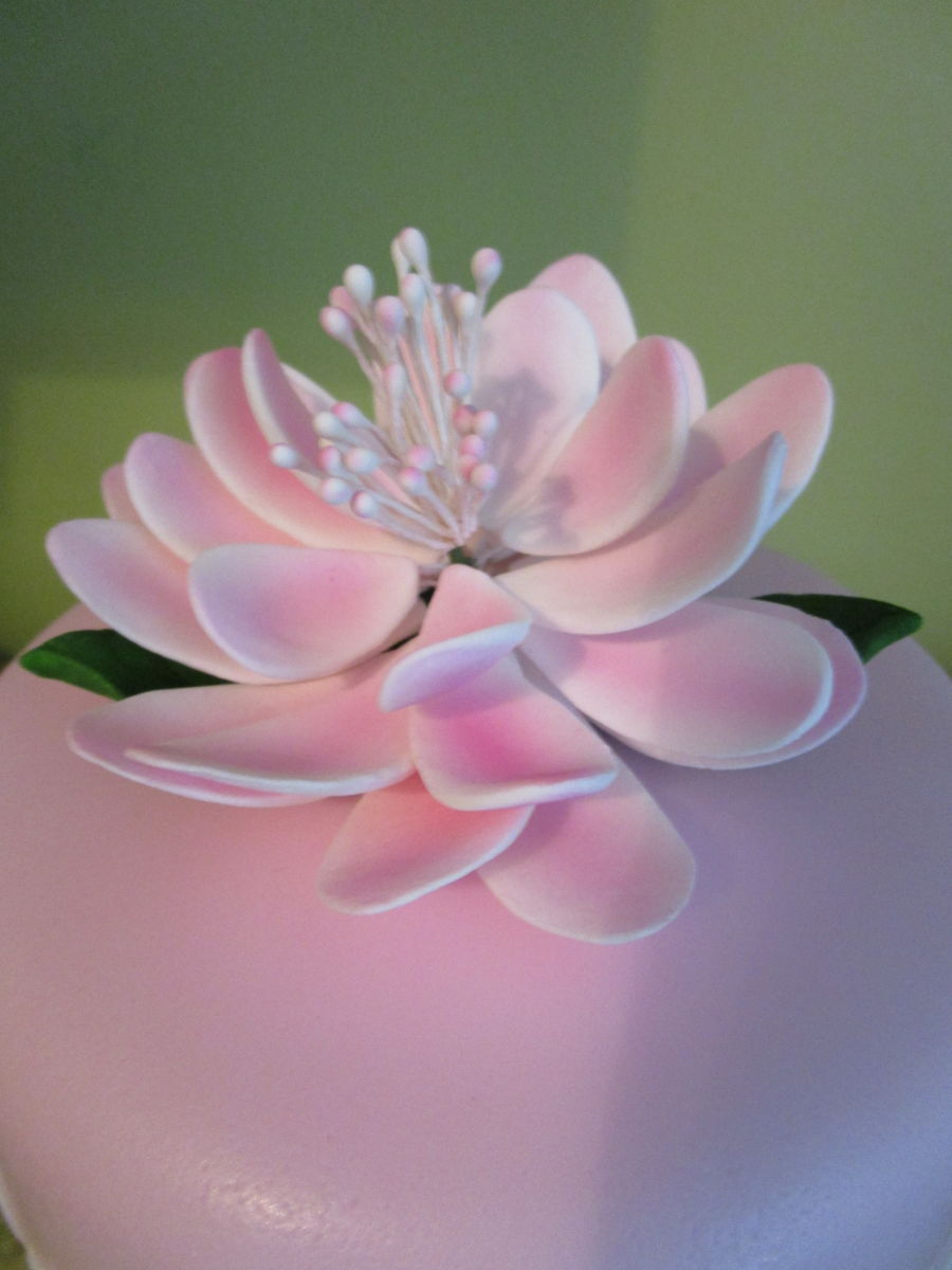 Extra Batter Cake! - CakeCentral.com